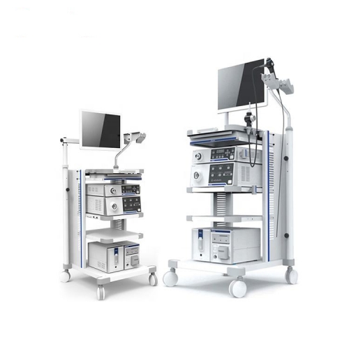 GIF-H170 Gastroscope Medical Cold Led Light Source For Olympu Flexible ...