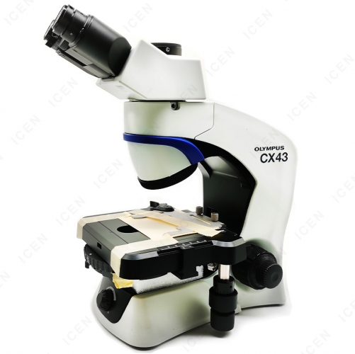 CX43 Trinocular Usb Biological Digital Microscope With Camera